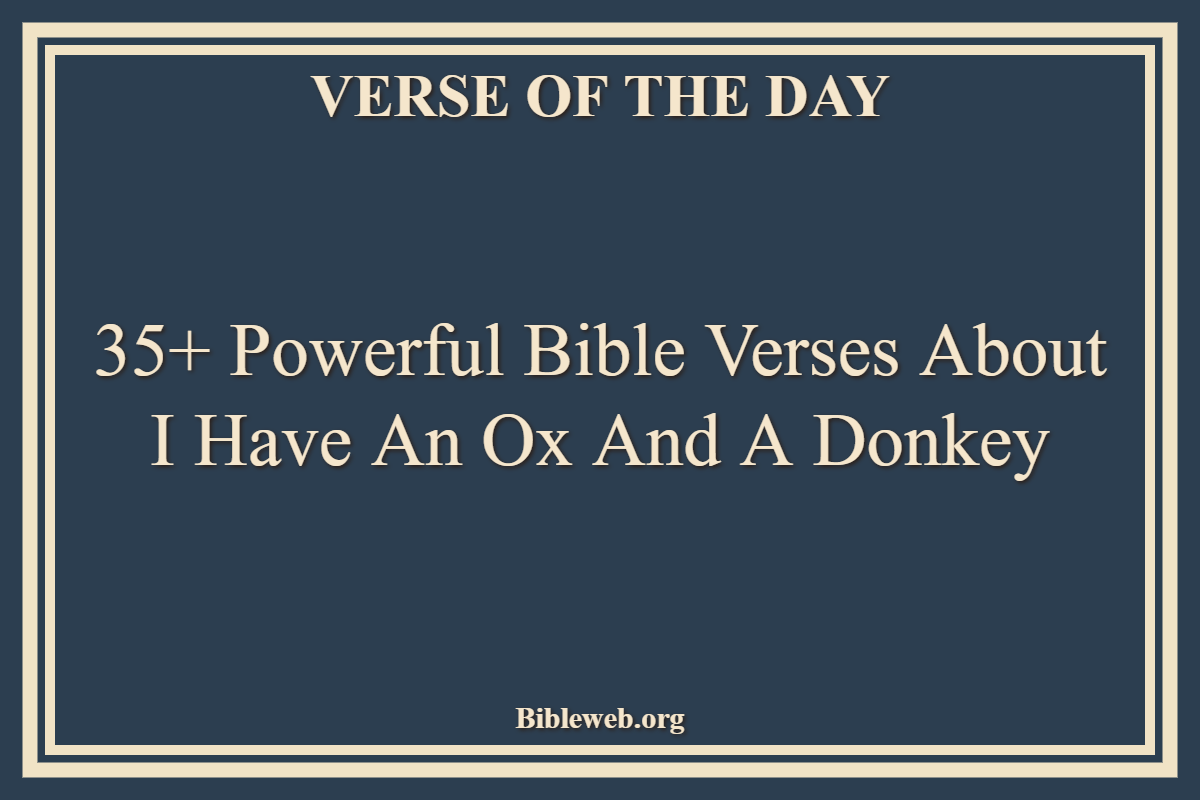 35+ Powerful Bible Verses About I Have An Ox And A Donkey