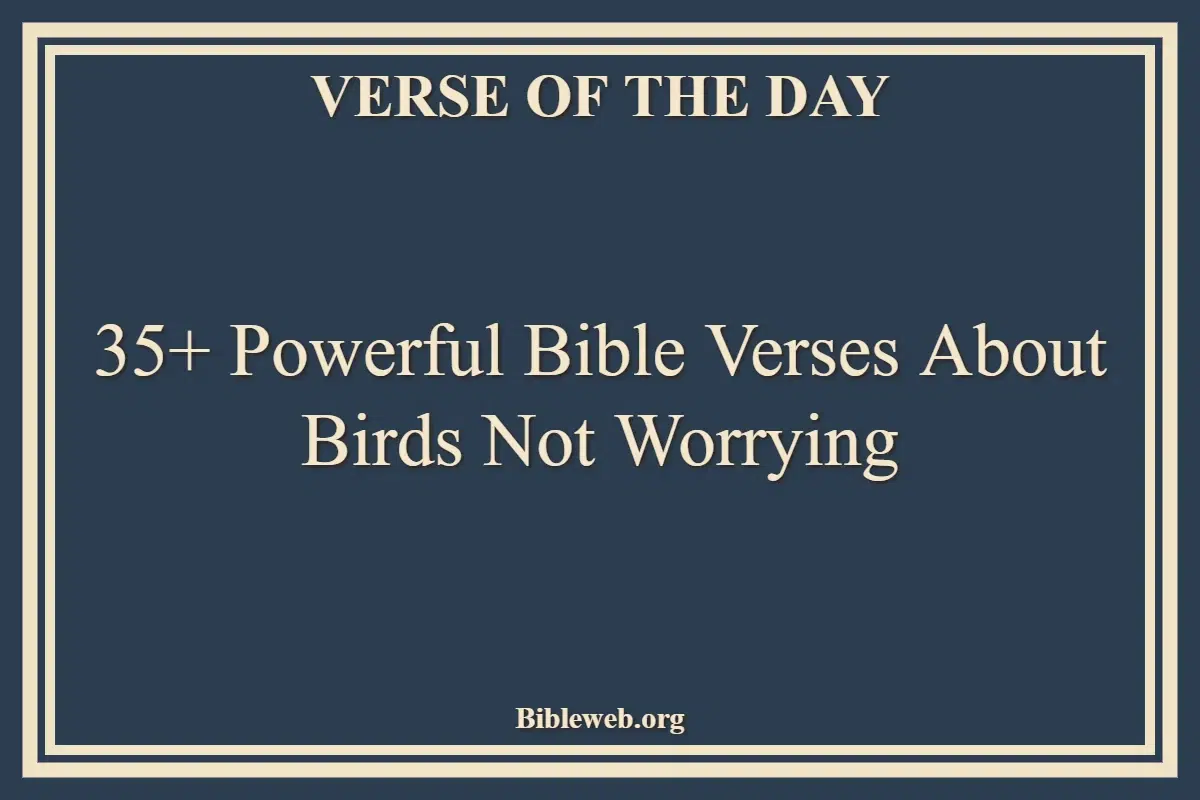 35+ Powerful Bible Verses About Birds Not Worrying