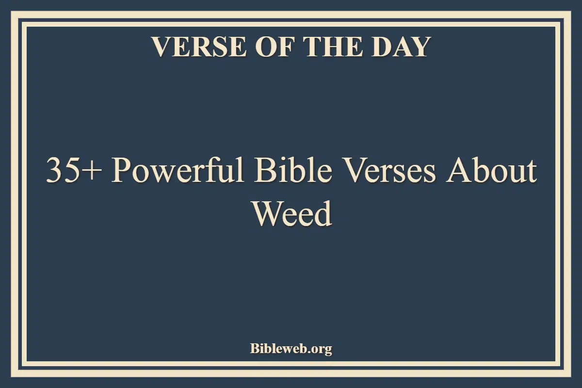 35+ Powerful Bible Verses About Weed